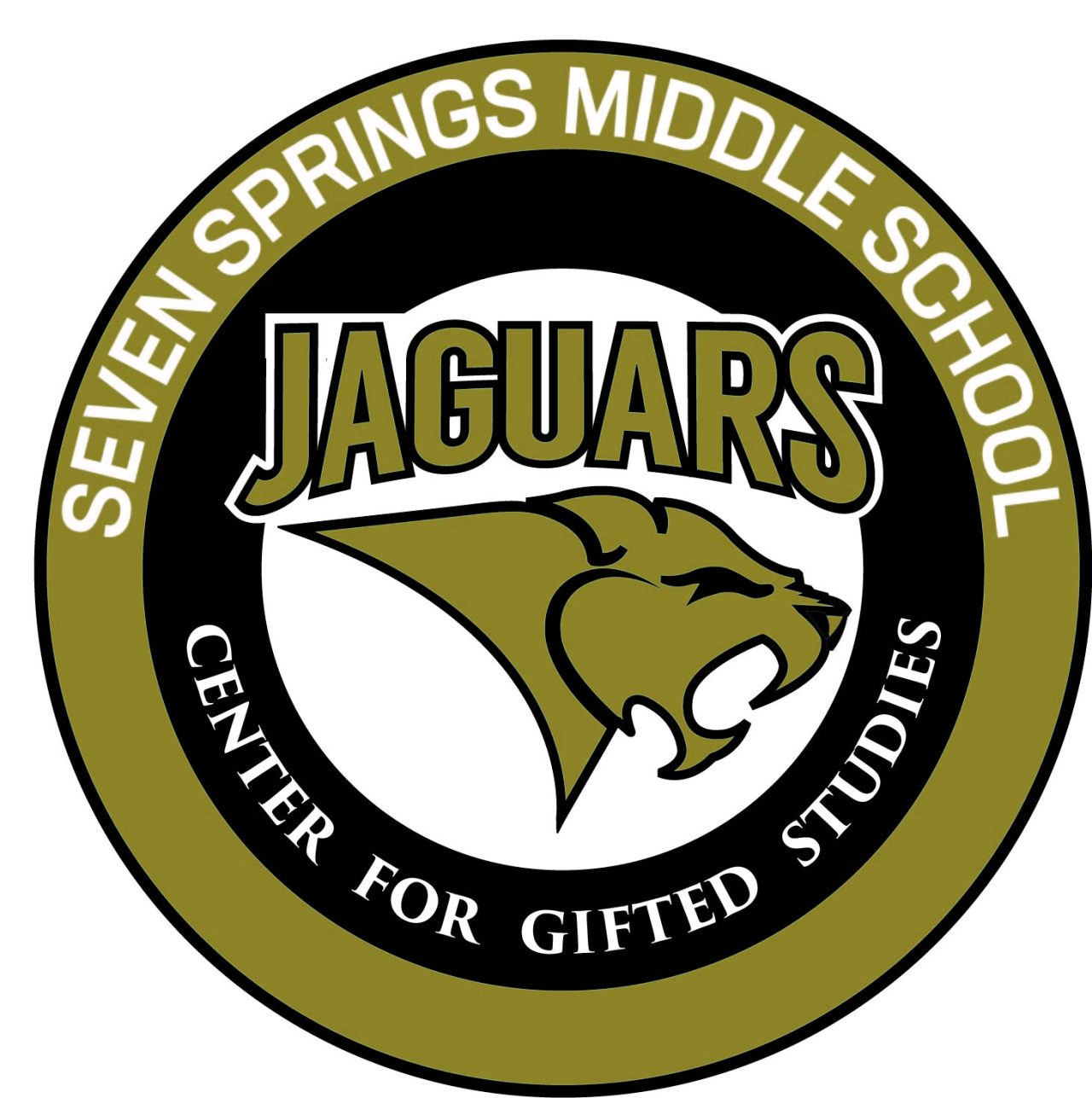 Center for Gifted Studies | Seven Springs Middle School