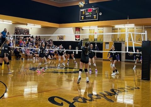 Girl’s Volleyball | Seven Springs Middle School